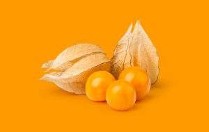 Physalis: Conheça os benefícios da fruta exótica - Vitat