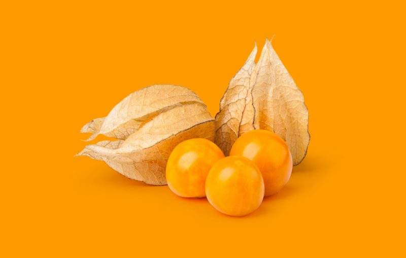 Physalis: Conheça os benefícios da fruta exótica - Vitat