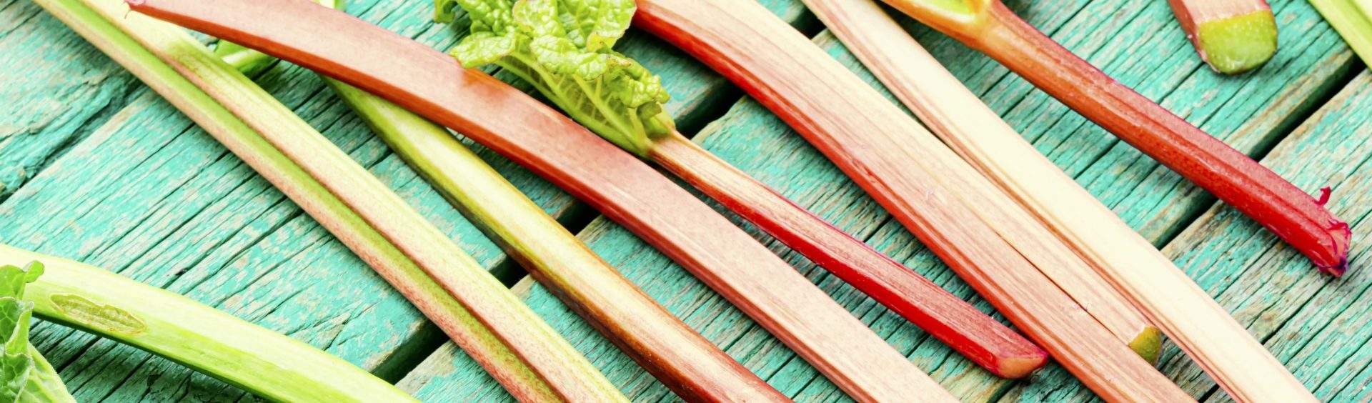Ruibarbo: O que é, para que serve e como consumir - Vitat