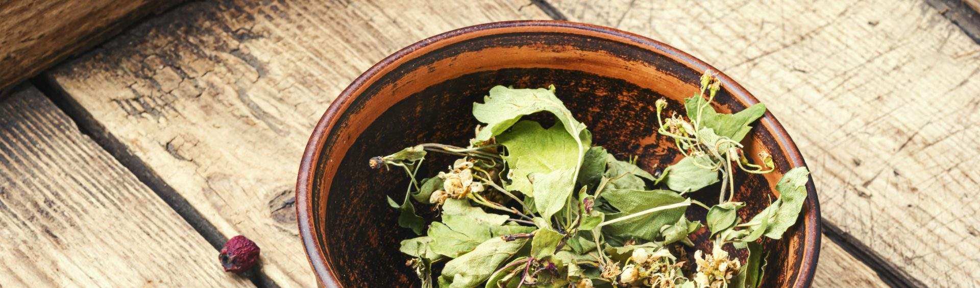 Alcaçuz: O que é, para que serve e como usar - Vitat