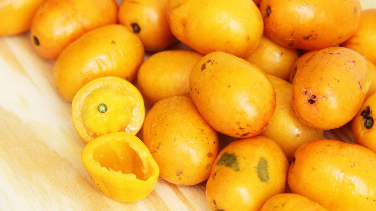 Cumaru: Conheça a semente amazônica - Vitat Alimentação